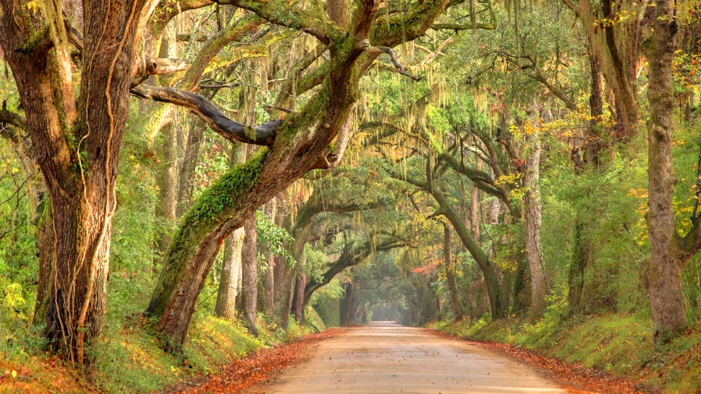 Hardeeville, SC Guide | Coastal Homes of South Carolina