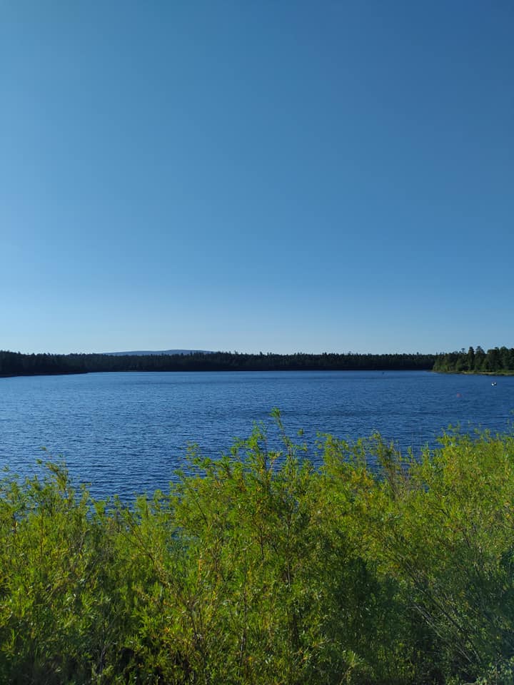 Show Low, AZ Guide | White Mountain Home Finder