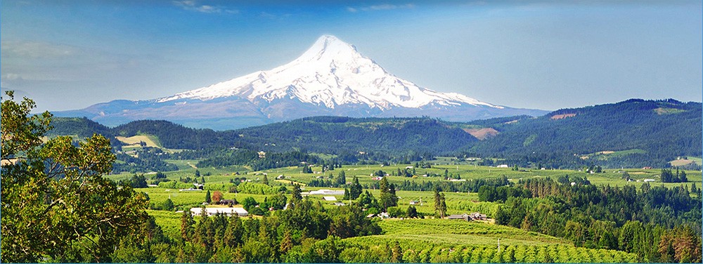 Lebanon, OR Guide | View Oregon Real Estate